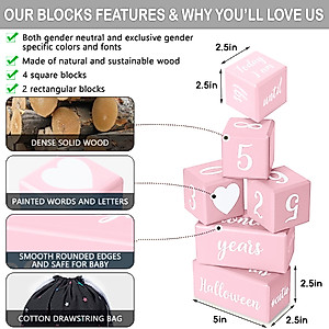 Pink Baby Monthly Milestone Blocks with Bag. Baby Age Blocks for Girl or Boy Baby Photo Props and Baby Shower. Month Baby Milestone Blocks with Grammatically Correct Month and Year