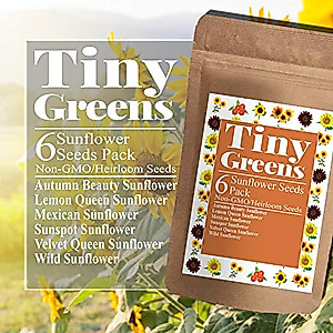 Sunflower Seeds Pack for Planting Outdoors - 6 Beautiful Sunflower Seed Varieties to Plant - Autumn Beauty, Lemon Queen, Mexican, Sunspot, Velvet Queen, Wild Sunflower - Flower Seeds for Planting