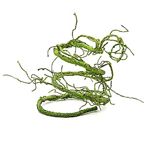 Pangea Reptile Ultimate Vine for Terrarium Habitat (Green)