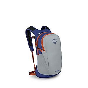 Osprey Daylite Commuter Backpack, Silver Lining/Blueberry