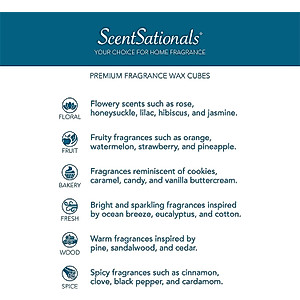 Scentsationals Wax Melts, Wax Cubes Strong Scent - Cucumber Melon - Long Lasting Scented Wax Melts for Warmer, 10 oz (24-Cubes)