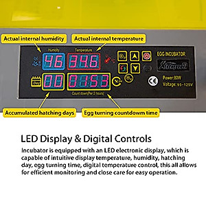 XtremepowerUS 97056-1 48 Digital Incubator with Fully Automatic Turning and Humidity Control 80W Clear Hatching for Chicken Duck Eggs, Yellow
