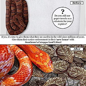 SunGrow Saver Bundle Pack - Catappa Leaves 30Pcs/Pack + Large Leaf Hammock