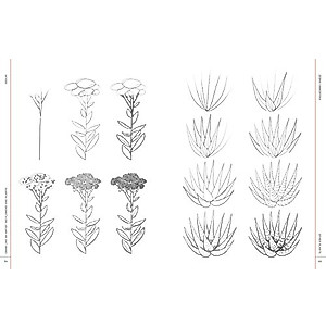 Draw Like an Artist: 100 Flowers and Plants: Step-by-Step Realistic Line Drawing * A Sourcebook for Aspiring Artists and Designers (Volume 2) (Draw Like an Artist, 2)
