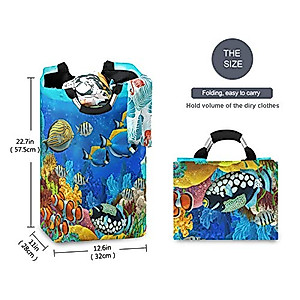 Qilmy 22.7’’ Sealife Fish Coral Waterproof Foldable Laundry Hamper, Dirty Clothes Laundry Basket, Storage Organizer for Toy Collection