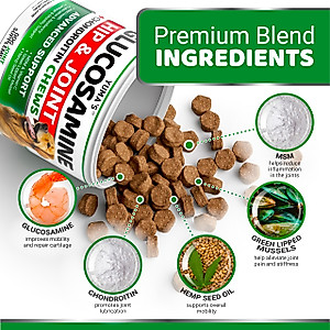 Glucosamine for Dogs - Hip and Joint Supplement for Dogs - 170 Ct - Glucosamine Chondroitin for Dogs Chews - Dog Joint Pain Relief with MSM - Advanced Dog Joint Supplement Health - Mobility Support