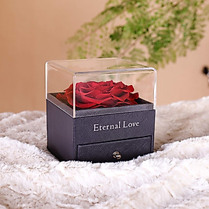 Ocosy Mothers Day Flower Gifts for Her, Preserved Real Flower Rose with Silver-Tone Heart Necklace I Love You in 100 Languages Gift Set, Enchanted Flower Rose Gifts, Red