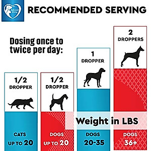 Cats & Dogs Liquid Herbal Medicine & Natural Broad Spectrum Treatment for Tapeworm, Whipworm, Roundworm, and Hookworm - Prevention Medication & Supplement Drops for Kitten and Puppies - Made in USA