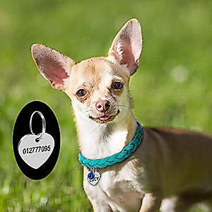 Leather Dog Collar Braided Dog Puppy Cats ID Collar with Name Personalized Engraved for Small Medium Dogs Free Bell (Color : Blue Size : XS Code)