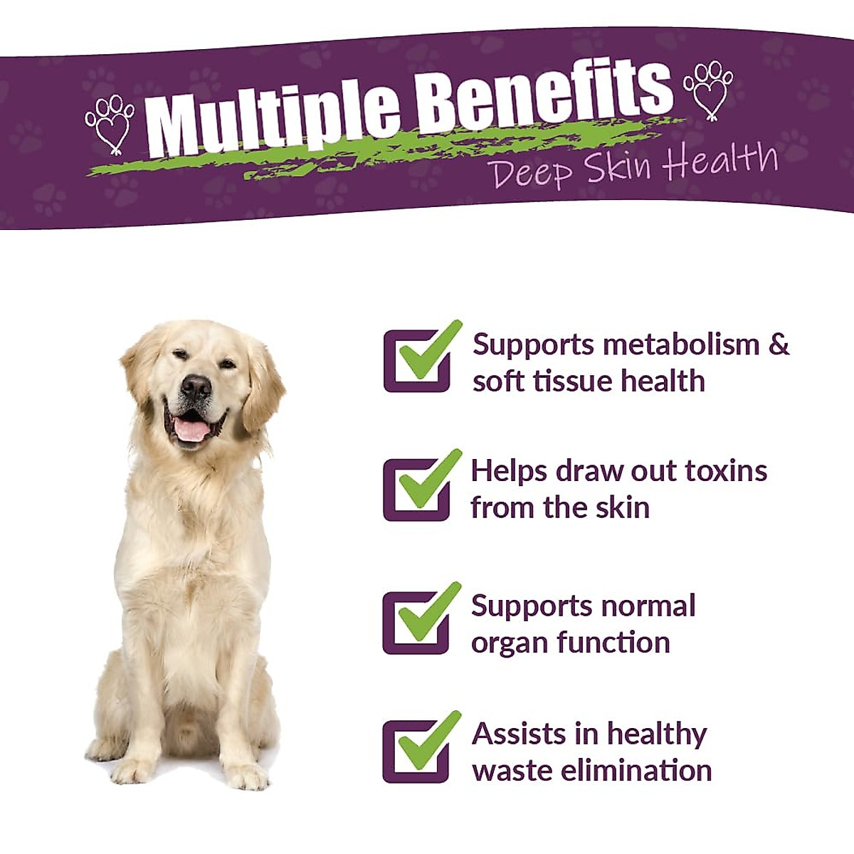 AMBER NATURALZ Tumoxil Deep Skin Health Herbal Supplement for Dogs and Puppies | Canine Herbal Supplement for Skin and Metabolism Support | 4 Fluid Ounce Glass Bottle | Manufactured in The USA