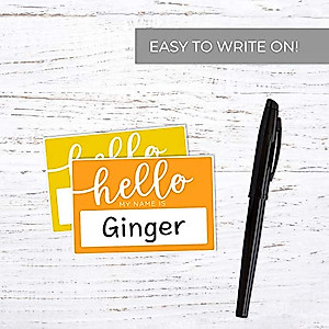 Hello My Name is Bright Stickers / 250 Trendy Name Tags / 6 Colorful Name Labels / 2" x 3" My Name is Classroom Camp Event Stickers/Made in The USA