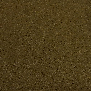 Texco Inc DTY Double Sided Brushed Stretch Fabric-2 Yards, Mustard Chambray
