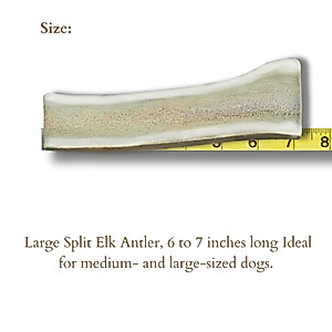 WhiteTail Naturals - Split Antlers for Large Dogs - (2 Pack- Large) - Naturally Shed, Long Lasting Dog Antler Horn - Tough Chew Bones for Aggressive Chewers