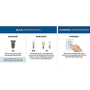 Progress Lighting P3753-20 Seeded Glass Hall & Foyer, Bronze
