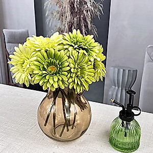TOPIA Artificial African Daisies Flowers African Daisy Silk Flowers Artificial Gerbera Daisies Pack of 10 (Green)
