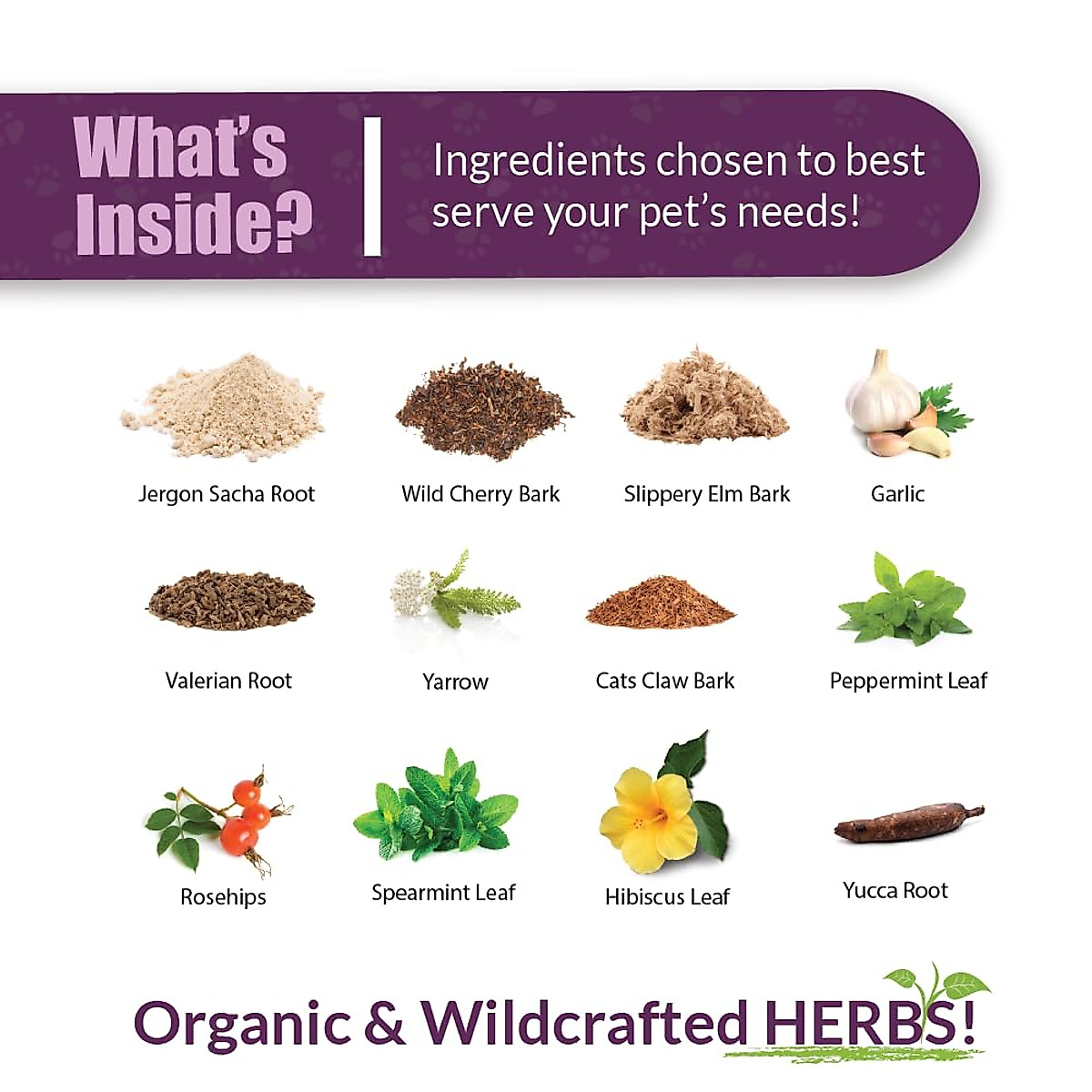 Amber NaturalZ - ADIZONE - Aches & Discomforts - for Dogz - 4 Ounce