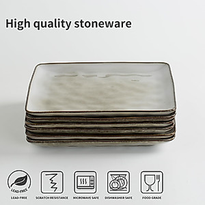 famiware Square Dinner Plates Set of 6, Large Pasta Plate, Ocean Square Stoneware Dessert Plates Dish Set for Kitchen, Reactive Glaze, Microwave Dishwasher Safe, Scratch Resistant, Grey