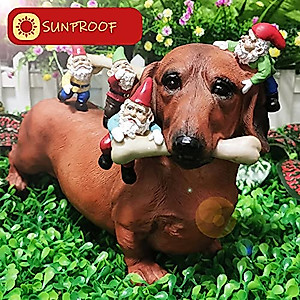Sunthus Dachshund Garden Gnomes Statues Outdoor Funny Decorations Yard Weiner Decor