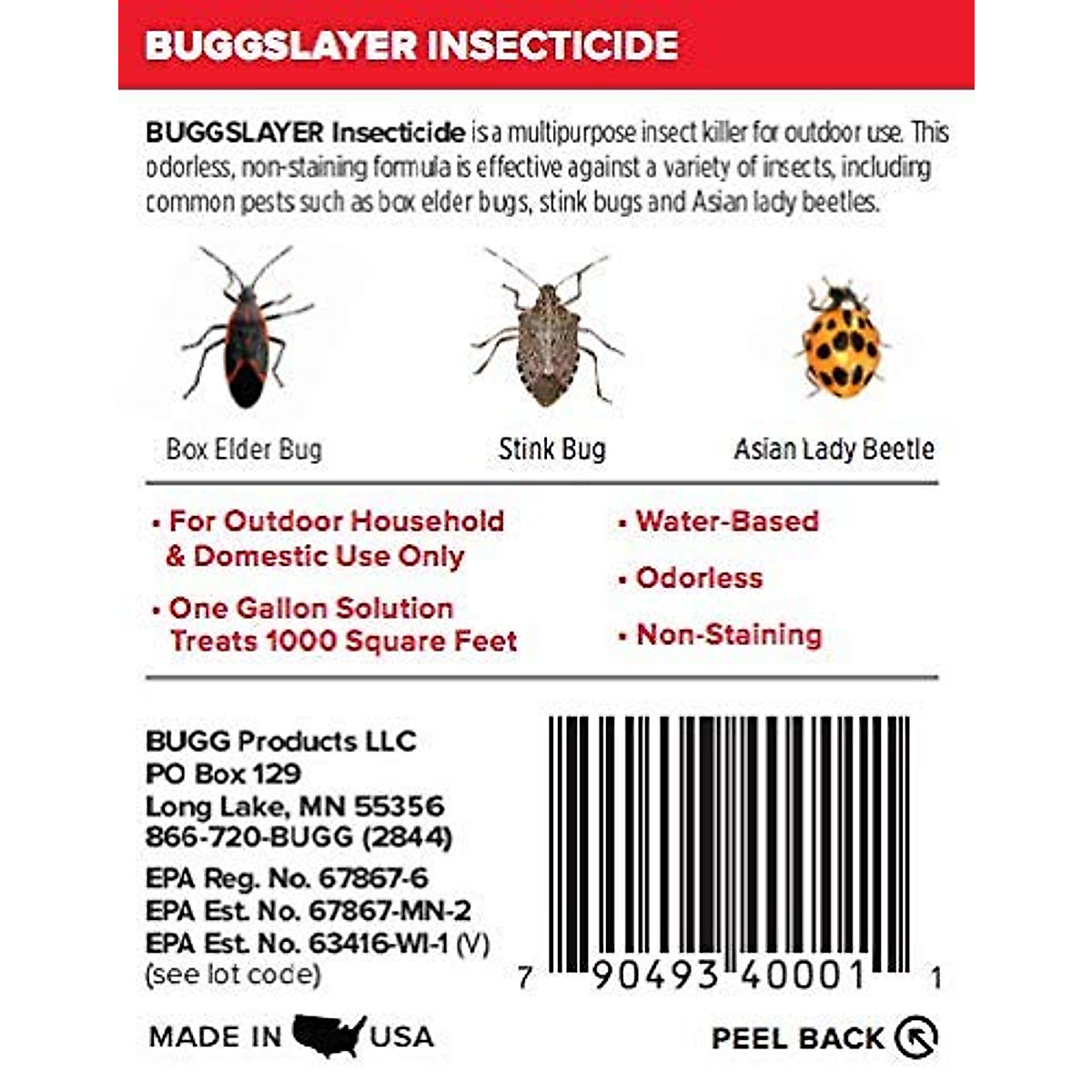 BUGGSLAYER Insecticide Concentrate 16-oz