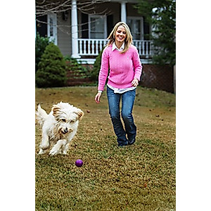 PetSafe Stay + Play Wireless Fence Receiver Collar