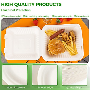 Azure Zone, 8 Inch, 1-Compartment Compostable Disposable Clamshell, 200 Pack, Eco Friendly, Biodegradable Made of Sugar Cane Fibers