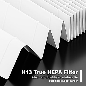 240 True HEPA 14 Replacement Filter Compatible with Puroair 240, 3-in-1 True HEPA Filter Replacement, Grade True HP-14 with Activated Carbon Filter, 2 Pack, White