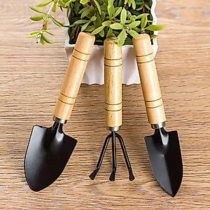 3Pcs Succulent Tools, This Tool Set is Especially Suitable for Office Gardening, Desktop Gardening and Indoor Bonsai,It Helps You All Kinds of Small Potted Plants，Meets Your Gardening Needs