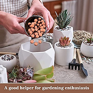 Sukh Clay Pebbles for Plants - Pebbles for Indoor Plants 100% Natural Clay, Used for Drainage, Decoration, Aquaponics, Hydroponics and Other Gardening Essentials Hydroton Small Pebbles Leca for Plants