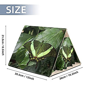 RATGDN Small Pet Hideout Green Butterfly Hamster House Guinea Pig Playhouse for Dwarf Rabbits Hedgehogs Chinchillas