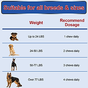 Joint Supplement for Dogs Glucosamine for Dogs Heart Shaped Chews Hip & Joint Supplement for Dogs 120 Count Lamb Flavor