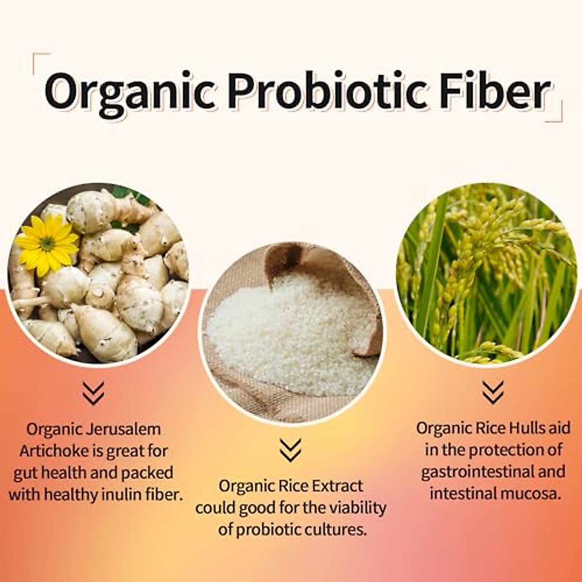 Lifeatlas 300 Billion CFU Probiotics - Probiotics for Women and Men - 12 Probiotic Strains Plus 3 Organic Prebiotic, Probiotics for Digestive Health, Gut & Immune Health, Gas & Bloating, 120 Capsules