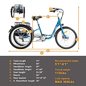 DWMEIGI Step Thru Electric Tricycle for Adult, 350W 36V 13AH Electric Trike 7 Speed with 24" Wheel for Men Women