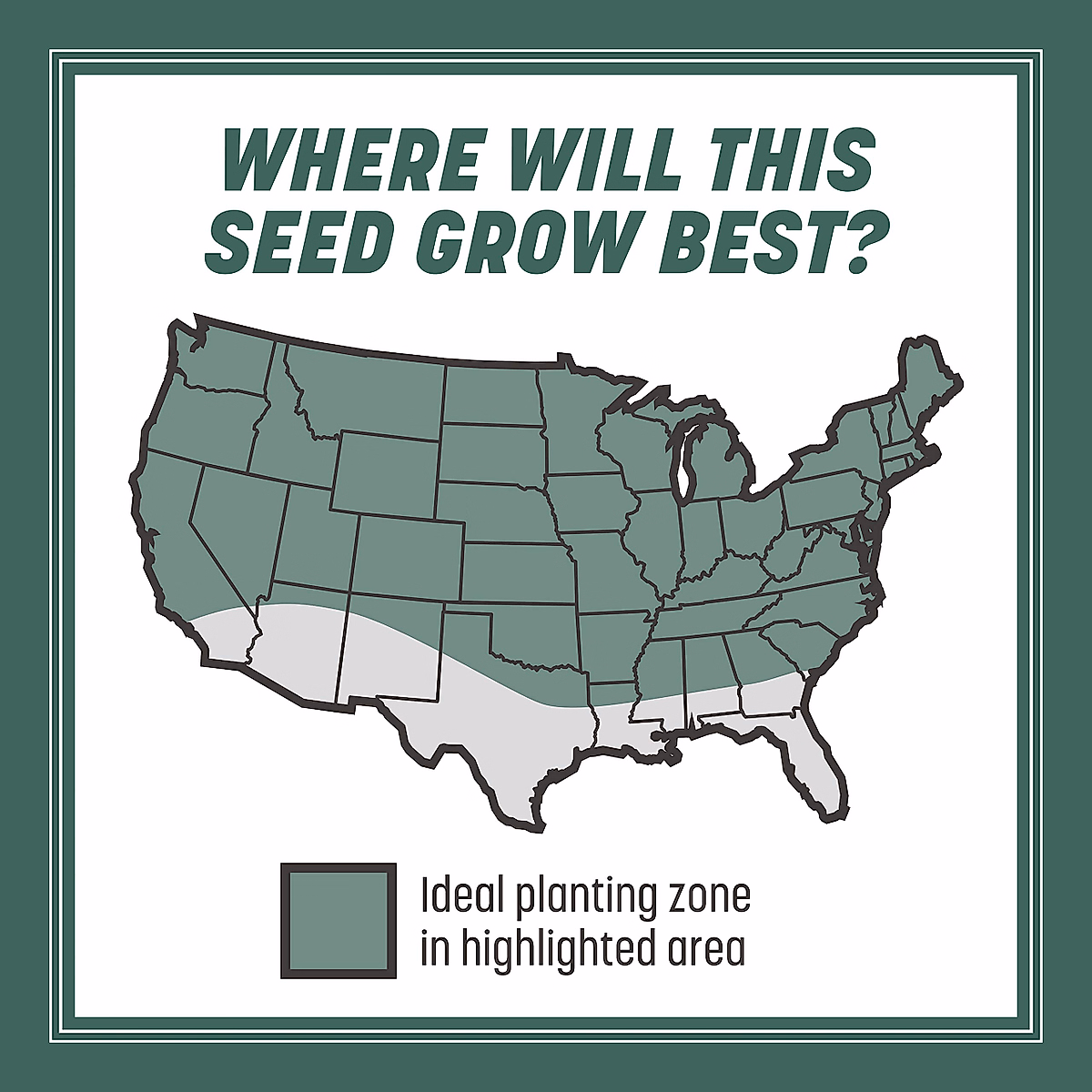 Pennington Kentucky 31 Tall Fescue Penkoted Grass Seed 3 lb, Green