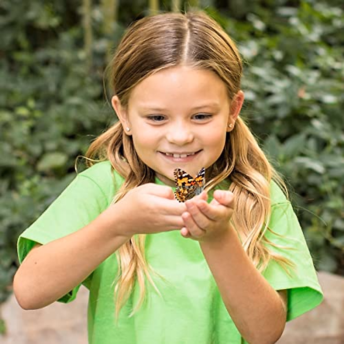 Butterfly Garden: Original Habitat and Live Cup of Caterpillars with STEM Butterfly Journal – Life Science & STEM Education – Butterfly Science Kit