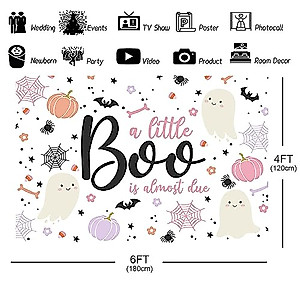 Ticuenicoa 6×4ft Halloween Baby Shower Backdrop A Little Boo is Almost Due Pink Ghost Bat Pumpkin Girls Kids Hey Boo 1st Birthday Party Photography Background First Birthday Party Banner Decor