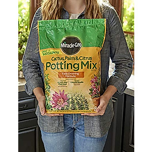 Miracle-Gro Cactus, Palm & Citrus Potting Mix, 8 qt.