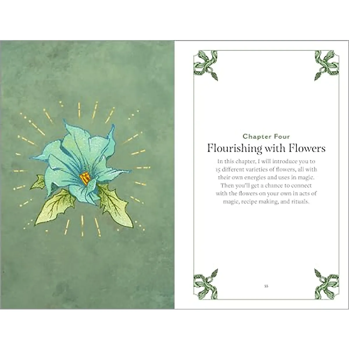 Green Witchcraft: A Practical Guide to Discovering the Magic of Plants, Herbs, Crystals, and Beyond (Practicing Green Witchcraft)