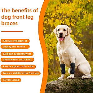 MUKVIK Dog Front Leg Brace, 1 Pair Dog Canine Front Leg Compression Brace Wrap with Metal Strips, Protects Wounds, Brace Heals, Prevents Injuries and Sprains, Helps Arthritis (S/M)