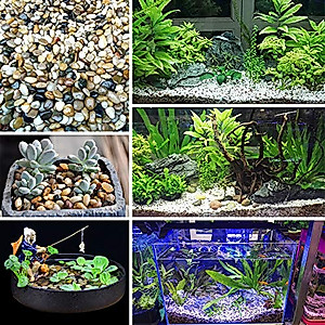 Miukada 5 Pounds River Rocks, Pebbles, Decorative Polished Gravel, Natural Polished Mixed Color Stones