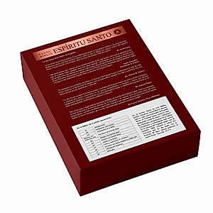 Santa Biblia Espíritu Santo, La Biblia Reina Valera 1960 Edición Español (Vinotinto/Red wine - Spanish Bible)