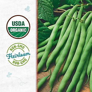 Seed Packet Blue Lake Bush Bean