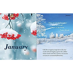 Daily Words of Comfort - Large Print (Deluxe Daily Prayer Books)