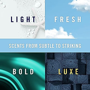 Febreze Light Odor-Eliminating Air Freshener, Sea Spray, 8.8 fl oz (Pack of 1)