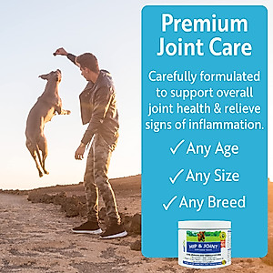 DakPets Glucosamine Chondroitin, MSM, Hip & Joint Supplement for Dogs, Organic Turmeric Soft Chews, Supports Healthy Joint Function and Helps with Pain Relief 120-Count
