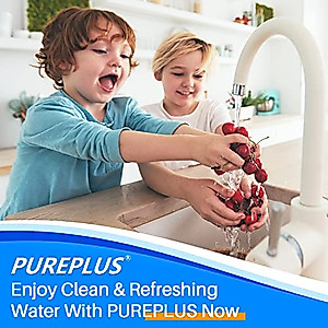 PUREPLUS 10"×4.5" Whole House Sediment and Activated Carbon Block (CTO) Water Filter, Replacement for GE FXHTC, GXWH40L, GXWH35F, GNWH38S, Culligan RFC-BBSA, WRC25HD, PP10BB-CC, Pentek RFC-BB, 1Pack
