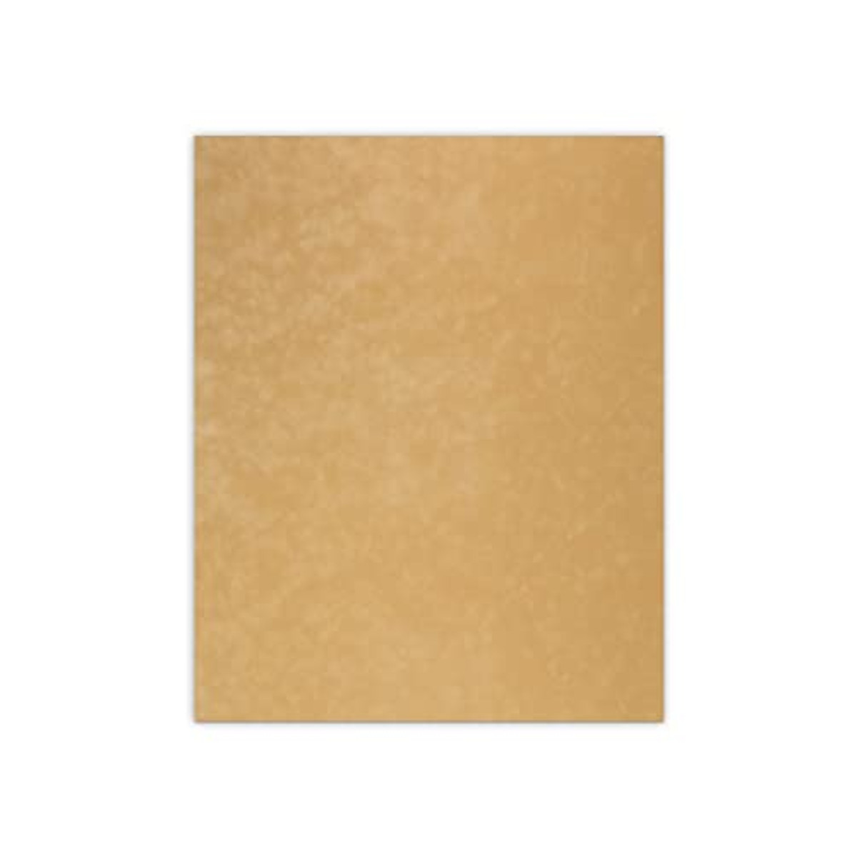 CountryArtHouse Thicket Suede Acid Free 8x10 Backing Board - Uncut Photo Mat Board - 1 Sheet