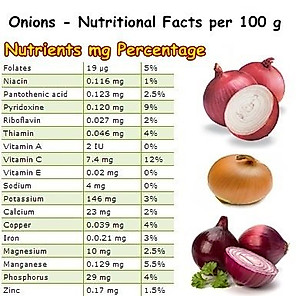 Buy Wellness Organic White ONION Powder, Purity Packaged for Freshness, Indian, 100% pure White Onion, -16 oz