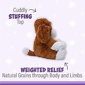 Warm Pals - Hound Dog - 1.5lbs - Cozy Microwavable Lavender Scented Plush Toys - Heated Stuffed Animal - Heatable Coolable Bedtime Comfort Plushie