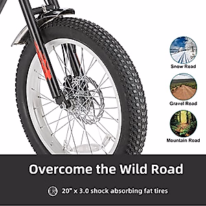 JOYSTAR 20" Electric Bike, Motorcycle Ebike with 250W Brushless Motor, Fixed Gear Fat Tire Cruiser E-Bike for Adults, Electric Bicycle