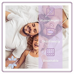 Bernese Mountain Dog Duvet Cover Full Animals Full Size Bedding Sets Soft Skin-friendly, Quilt Cover 80"x90" with 2 Pillow Sham 20"x26" - Zipper Closure and Corner Ties for Kids Teens Adult